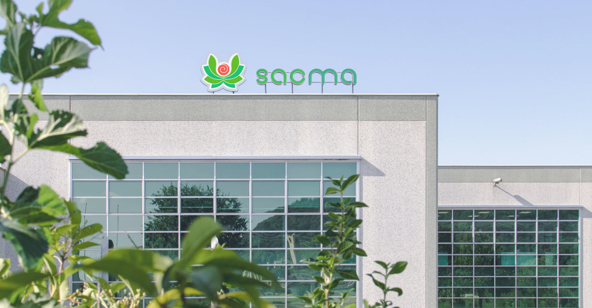 SACMA – Bags and wrapping paper